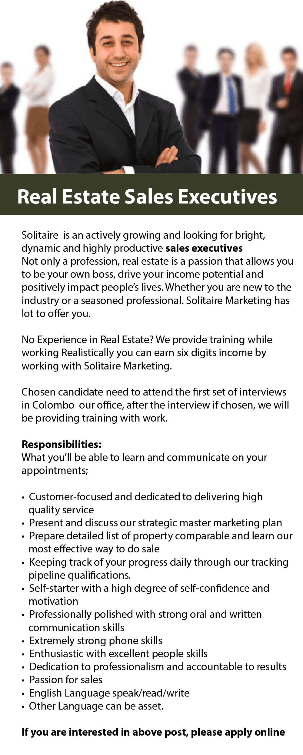 Real Estate Sales Executive 2024