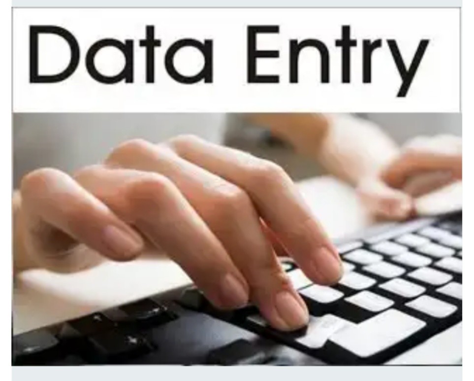 Data Entry Operator 2023